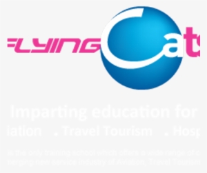 Flying Cats - Flight Attendant PNG Image | Transparent PNG Free ...