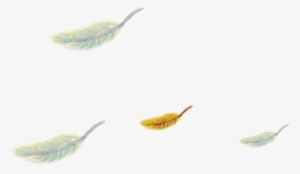 Stylishly Accessorised - American Tree Creeper PNG Image | Transparent ...