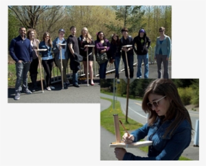 Students Standing In A Line Posing Outside For A Picture - Tree PNG ...