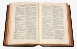 Open Bible PNG Images | PNG Cliparts Free Download on SeekPNG