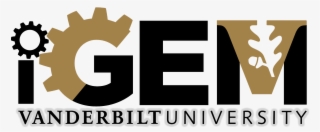 Vanderbilt University PNG Image | Transparent PNG Free Download on SeekPNG