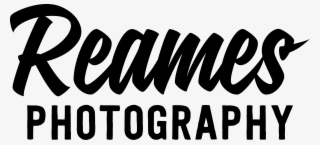 Reames Photography Logo - Pigeon Detectives PNG Image | Transparent PNG ...