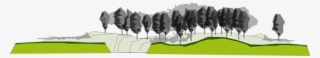 Activity - Herd PNG Image | Transparent PNG Free Download on SeekPNG