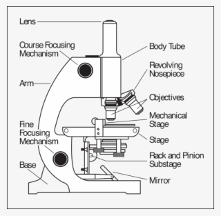 Parts Of A Microscope - Condenser Lens On Microscope PNG Image ...