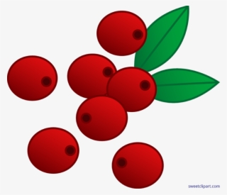 700 X 602 2 - Red Berries Clip Art PNG Image | Transparent PNG Free ...