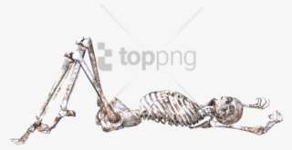 Free Png Download Skeleton Lying On Back Png Images - Skeleton Lying ...