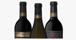 Mashable Logo Png PNG Image | Transparent PNG Free Download on SeekPNG