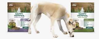 Next - Happy Hempies PNG Image | Transparent PNG Free Download on SeekPNG