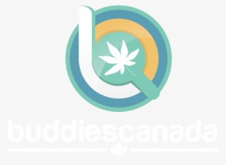 Instagram - Emblem PNG Image | Transparent PNG Free Download on SeekPNG