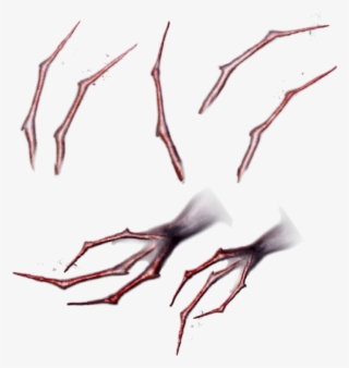 Claws Png - Sketch PNG Image | Transparent PNG Free Download on SeekPNG