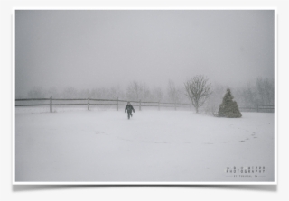White Out Snow Storm - Snow PNG Image | Transparent PNG Free Download ...