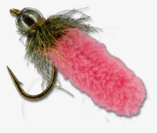 Mop Fly - Insect PNG Image | Transparent PNG Free Download on SeekPNG