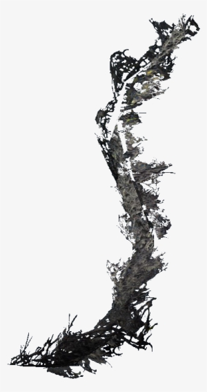 Moss Texture Png - Moss Png PNG Image | Transparent PNG Free Download ...