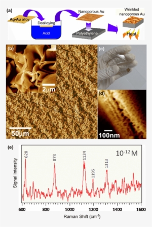 A) A Schematic Describing The Preparation Of Wrinkled - Bread PNG Image ...