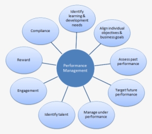 Performance Prism - Png Performance Prism PNG Image | Transparent PNG ...