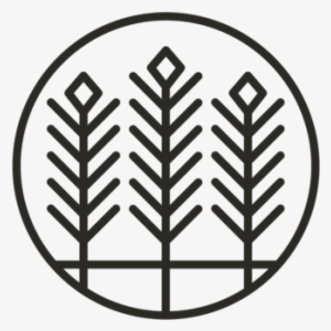 Icons 2000px Withpadding Vodka - Vodka PNG Image | Transparent PNG Free ...