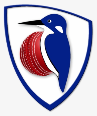 Cricket Clipart Cricket Coach - Emblem PNG Image | Transparent PNG Free ...
