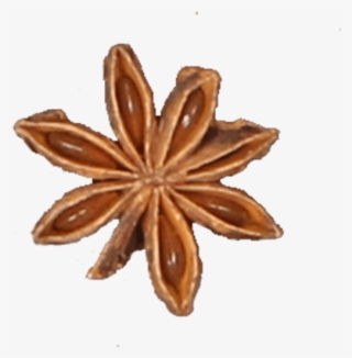 Star Anise - Illustration PNG Image | Transparent PNG Free Download on ...