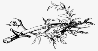 Sword And Olive Branch - Olive Branch Around The Sword PNG Image ...