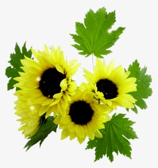 Обсуждение На Liveinternet - Gif PNG Image | Transparent PNG Free ...