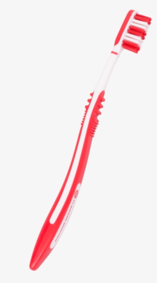 Toothbrush Png PNG Images | PNG Cliparts Free Download on SeekPNG