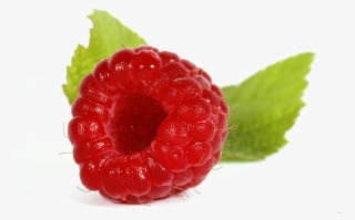 Single Raspberry Png Image Background - Transparent A Single Raspberry ...
