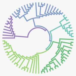 Molecular Evolution PNG Image | Transparent PNG Free Download on SeekPNG