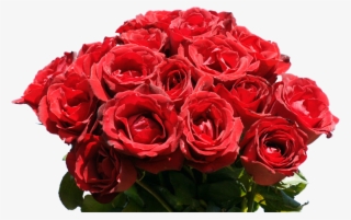 Share This Image - Red Roses PNG Image | Transparent PNG Free Download ...