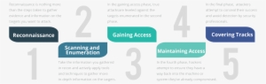 5 Phases Of Hacking - Ethical Hacking 5 Steps PNG Image | Transparent ...