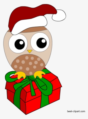 Cute Christmas Owl Clip Art Free - Owl Baby Shower PNG Image ...
