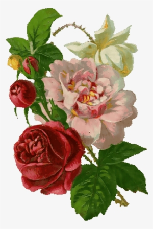 30 Vintage Roses For Scrap, Rose Png Beautiful Flowers - Victorian Era ...