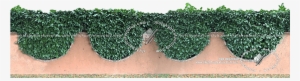 17686 Cut-out Hedge Texture Seamless With Concrete - Hedge PNG Image ...