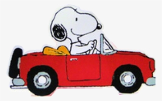 Snoopy En Su Carro PNG Image | Transparent PNG Free Download on SeekPNG