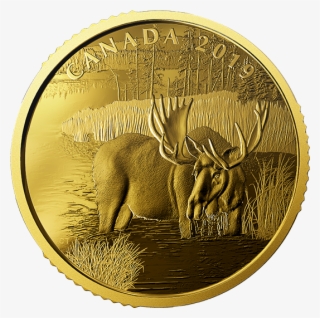 999% Pure Gold Coin - Gold Coin PNG Image | Transparent PNG Free ...