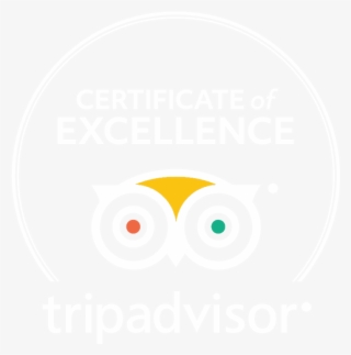1404221025 Bhl Reviewers Logo Tripadvisor - Tripadvisor 5 Star Logo PNG ...