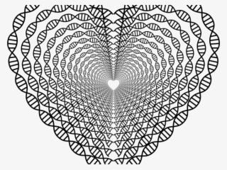 Heart Clipart Doily - Circle PNG Image | Transparent PNG Free Download ...