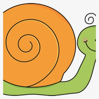 Snail Clip Art Free Snail Cliparts Download Free Clip - Snailclipart ...