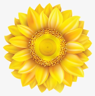 Sunflowers Png Leave - Suraj Mukhi Ka Phool PNG Image | Transparent PNG ...
