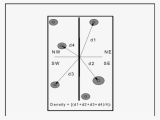 The Point-quarter Sampling Technique - Diagram PNG Image | Transparent ...
