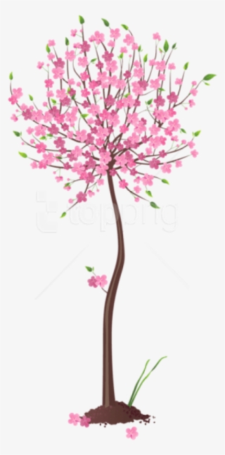 Pink Tree PNG Images | PNG Cliparts Free Download on SeekPNG