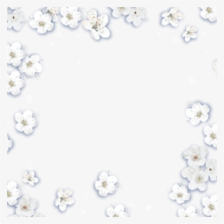 Border Sticker - Motif PNG Image | Transparent PNG Free Download on SeekPNG