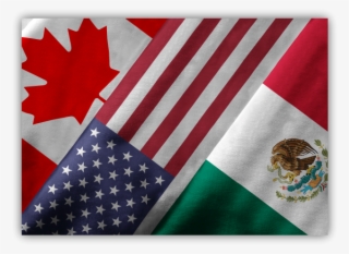 They're All On The Pro Rodeo Circuit PNG Image | Transparent PNG Free ...