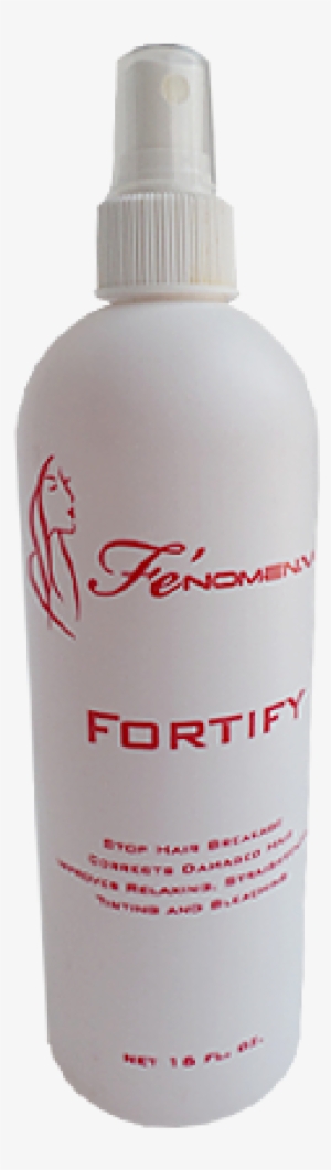 Fortified Logo - Fortification PNG Image | Transparent PNG Free ...