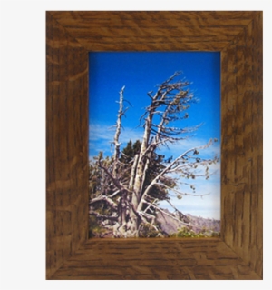 Basic Picture Frame Wood PNG Image | Transparent PNG Free Download on ...