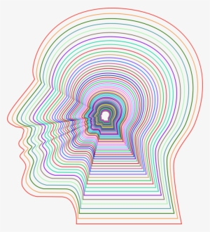 Brain Line Art Illustration - Transparent Background Brain Clipart PNG ...