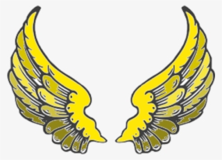 Angel Wings Cut Out PNG Image | Transparent PNG Free Download on SeekPNG