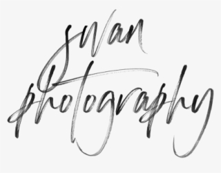 Swan Photography - Calligraphy PNG Image | Transparent PNG Free ...