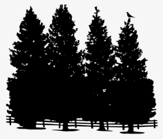 Four Pines Logo - Illustration PNG Image | Transparent PNG Free ...