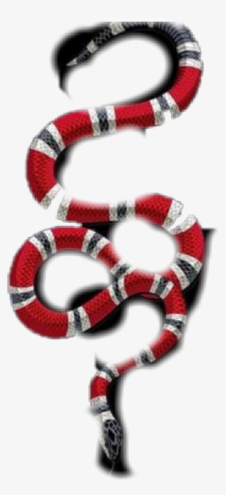 Sonoran Coral Snake PNG Image | Transparent PNG Free Download on SeekPNG