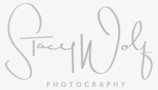 Stacy Wolf Photography PNG Image | Transparent PNG Free Download on SeekPNG
